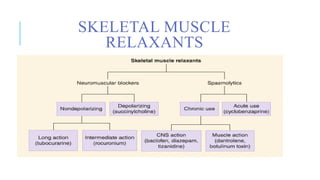 Pharmacology-Skeletal Muscle Relaxants.p | PPTX