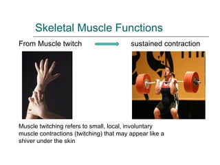 Skeletal muscle relaxants - drdhriti | PPT