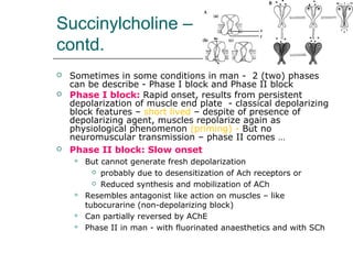 Succinylcholine Phase 1 And 2 Block