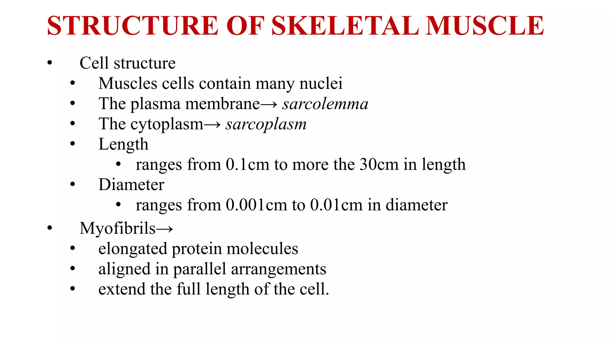 Skeletal muscles | PPTX
