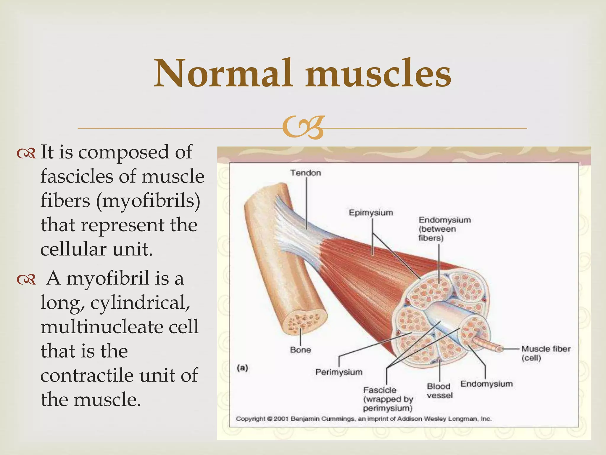 Skeletal muscles disease and disorder | PPTX