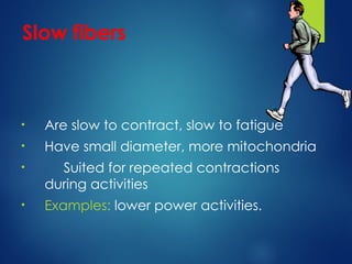 Skeletal muscles Part 1.ppt simple structure | PPT