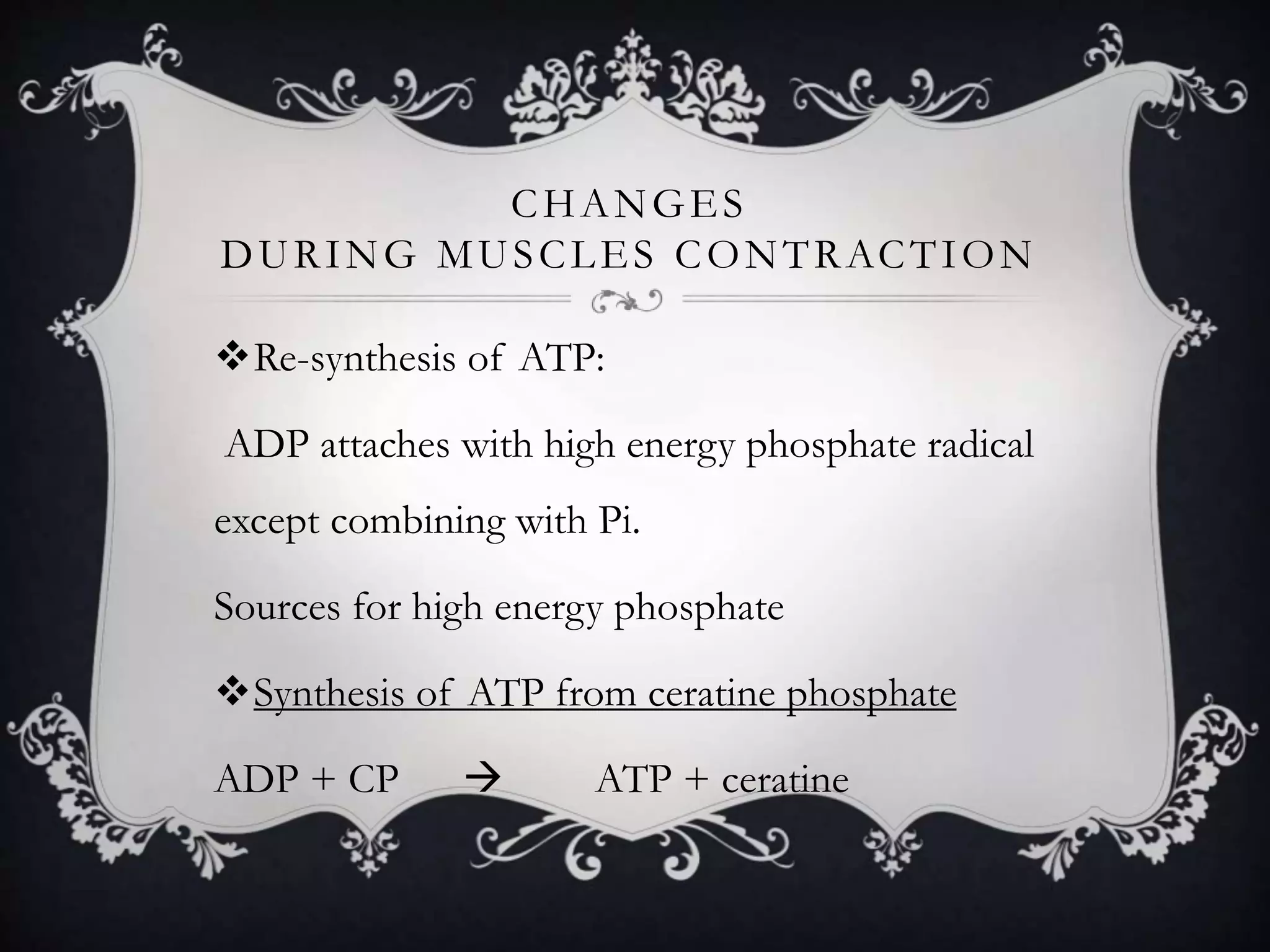 skeletal muscles physical and chemical changes during muscle ...