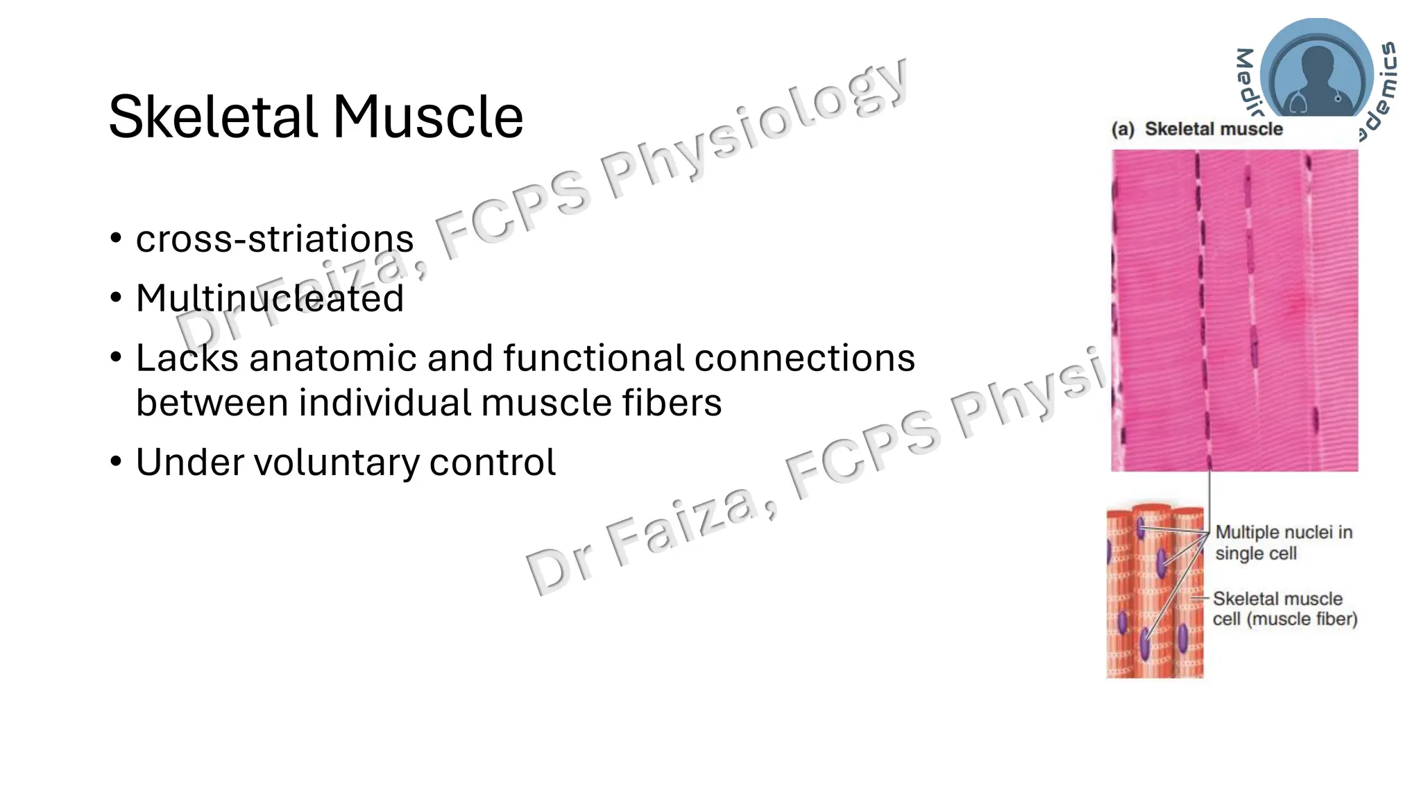 Skeletal Muscle strcuture_Physiological properties | PDF