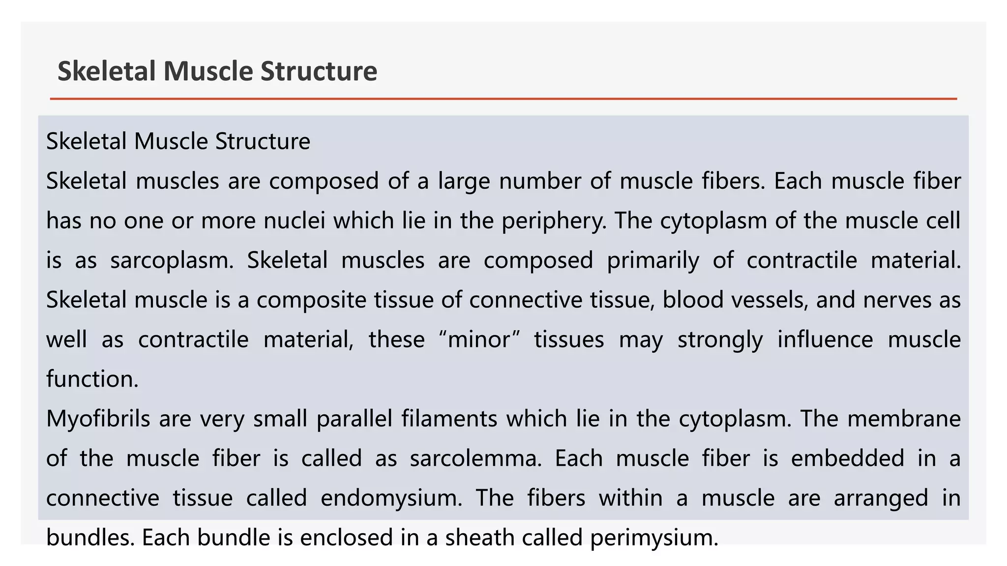 Skeletal Muscle Structure.pptx | Biological Sciences | Science