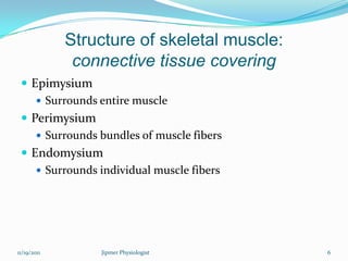Skeletalmusclestructurefunction09 11-2011-111120005142-phpapp01 | PDF
