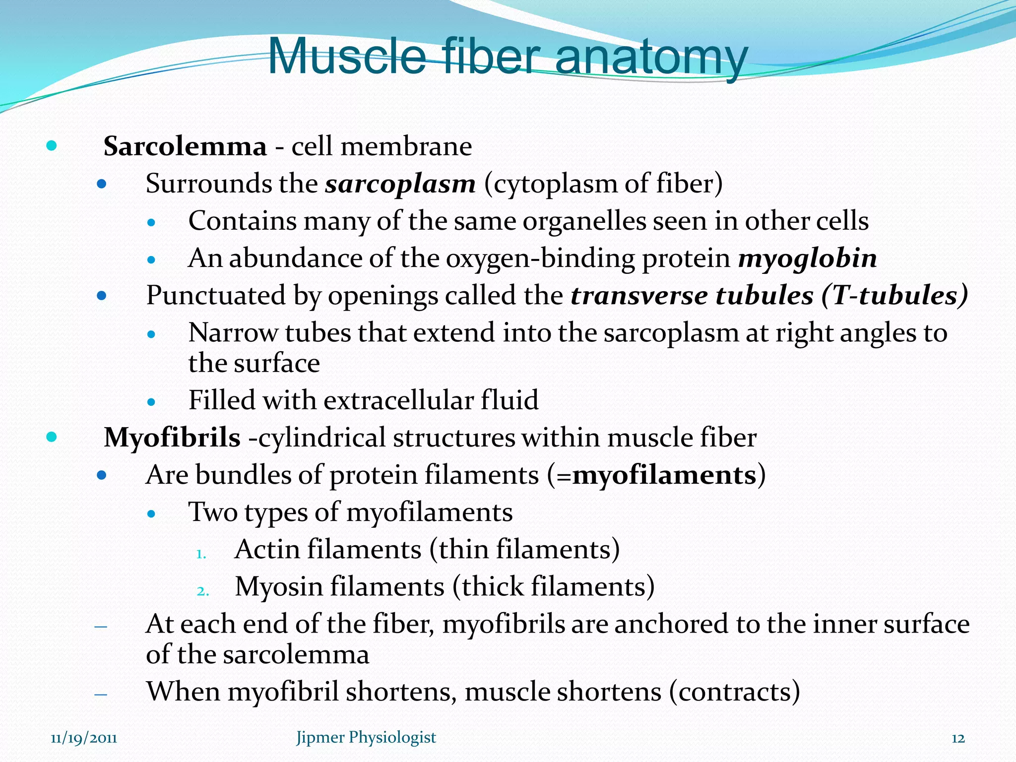 Skeletal muscle structure & function | PPTX
