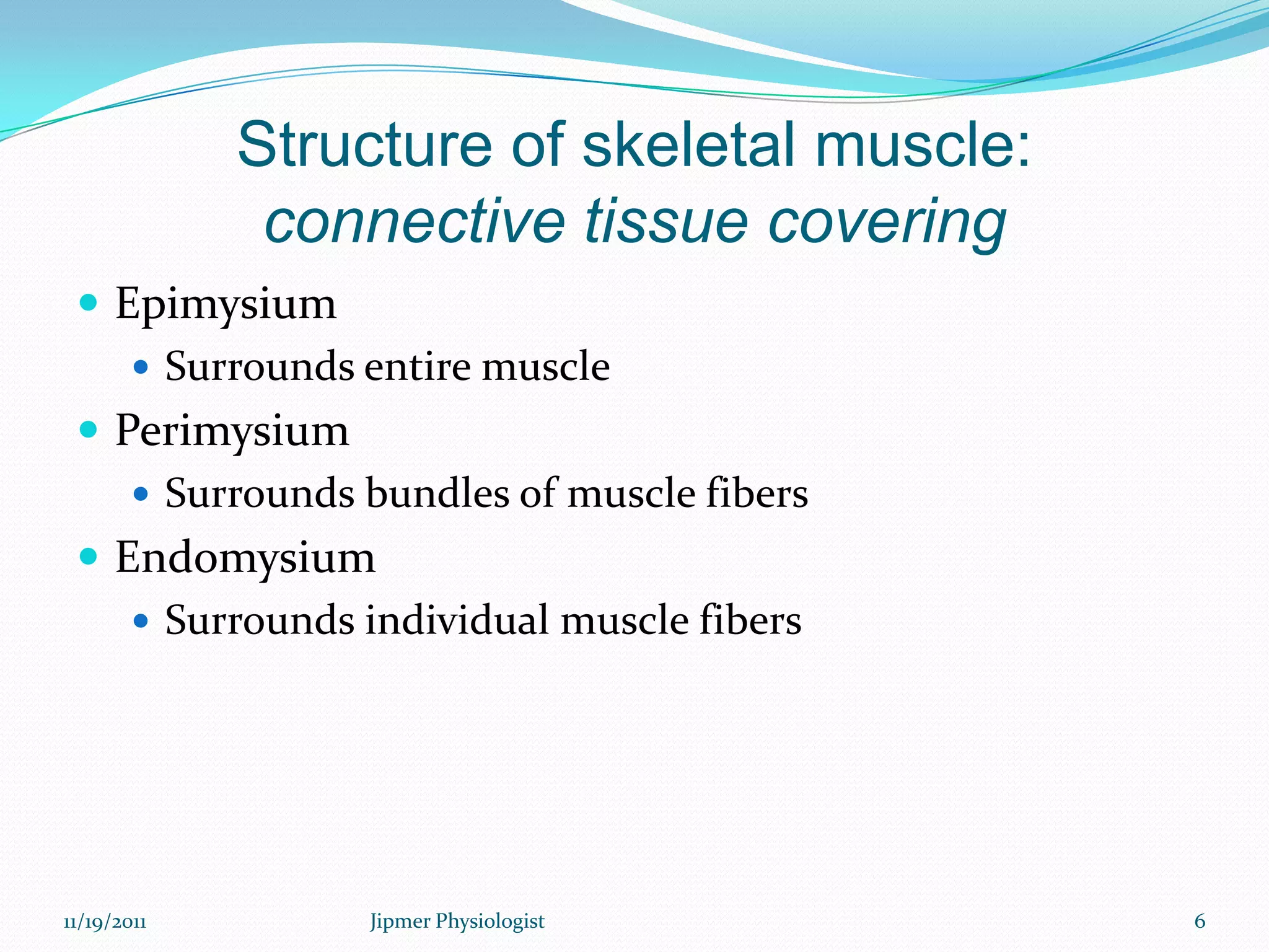 Skeletal muscle structure & function | PPTX