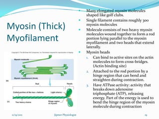 Skeletal muscle structure & function | PPTX