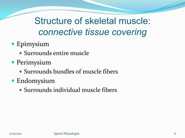 Skeletal muscle structure & function | PPTX