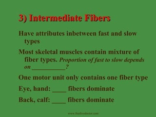 skeletalmuscletissueandorganization-100312045857-phpapp01.pdf