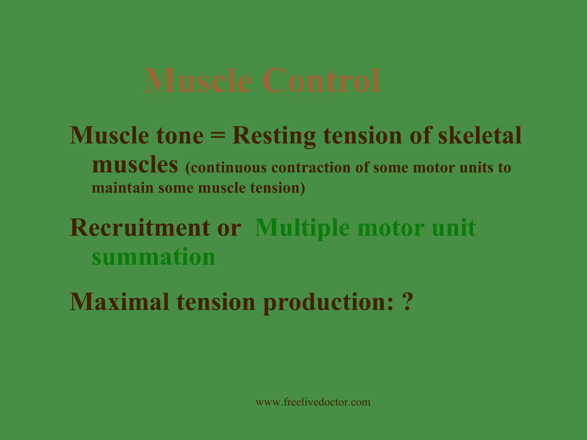 Skeletal Muscle Tissue And Organization | PPT
