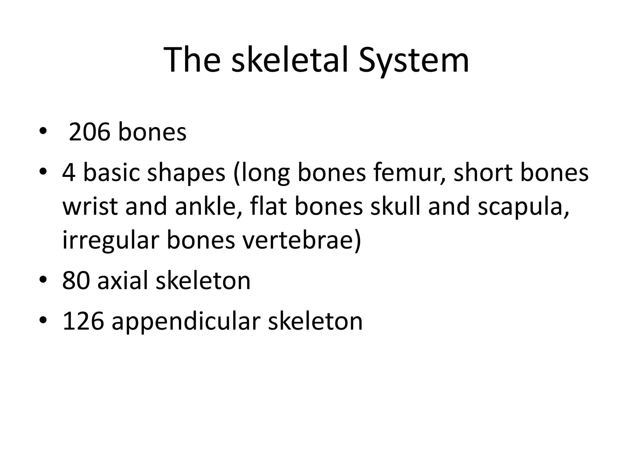 Skeletal System | PPTX