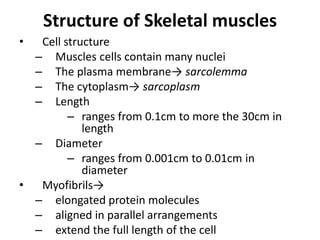 Skeletal System | PPT
