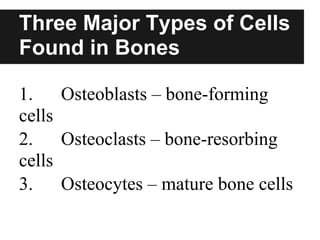 Skeletal physiology | PPT
