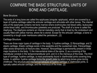 Skeletal physiology 101 | PPTX