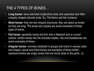 Skeletal physiology 101 | PPTX