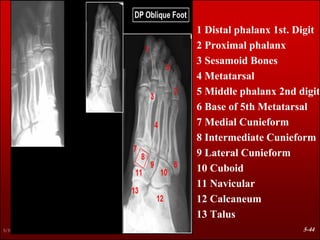 Comprehensive Skeletal Radiographic Anatomy, MDIRT, Nchanji Nkeh Keneth ...