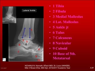Comprehensive Skeletal Radiographic Anatomy, MDIRT, Nchanji Nkeh Keneth ...