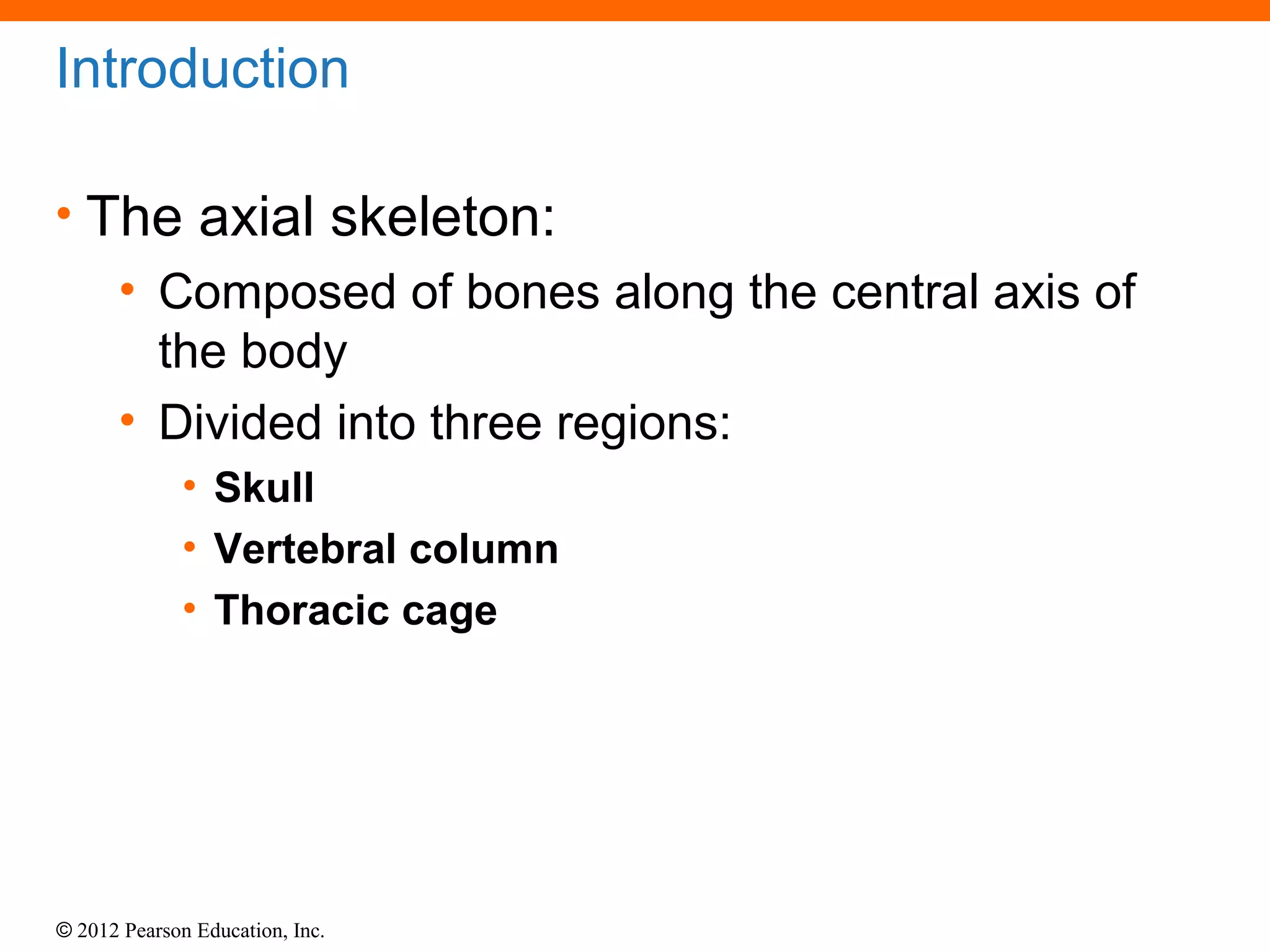 Skeletal S_Axial Division.pdf