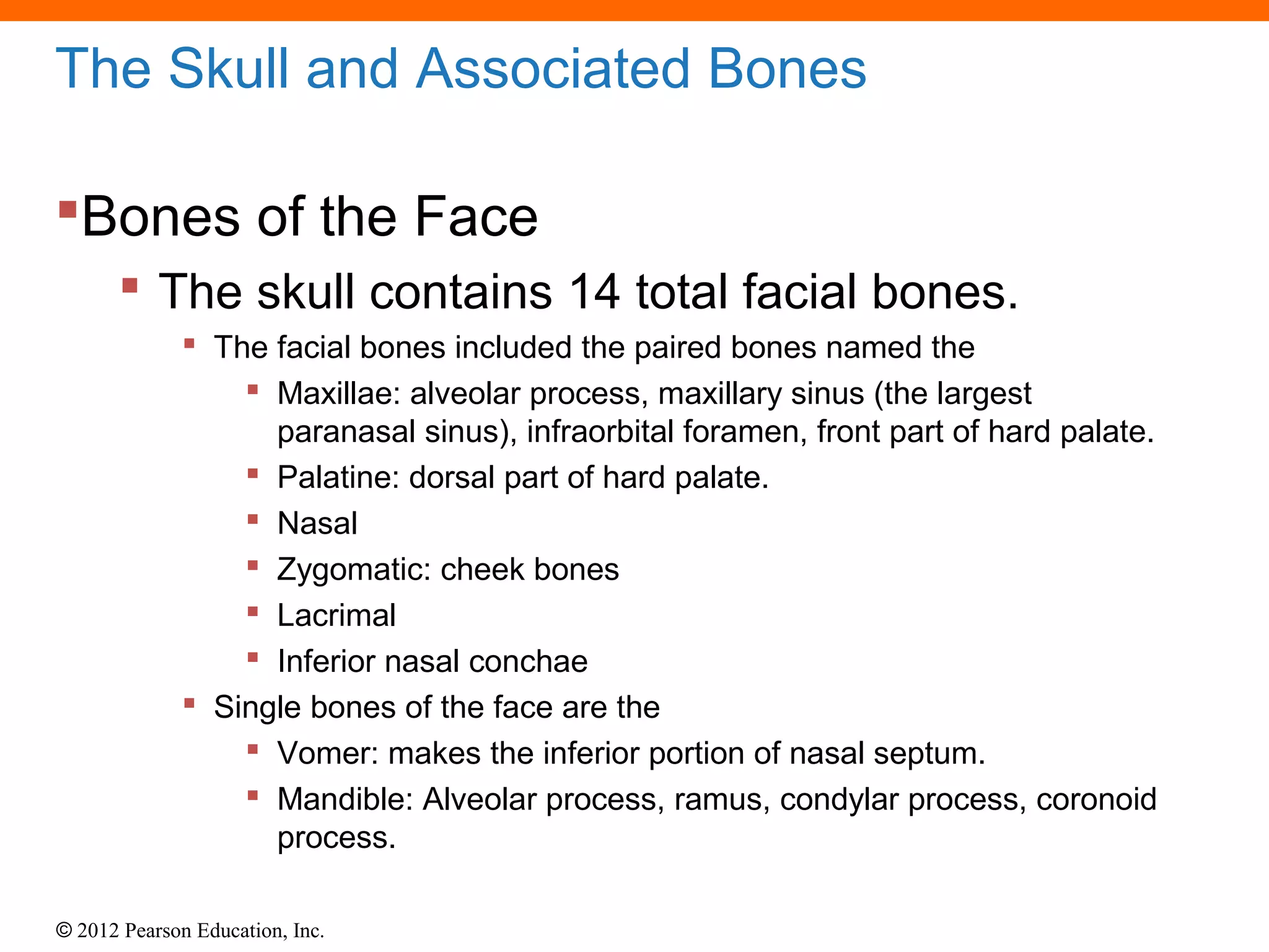Skeletal S_Axial Division.pdf