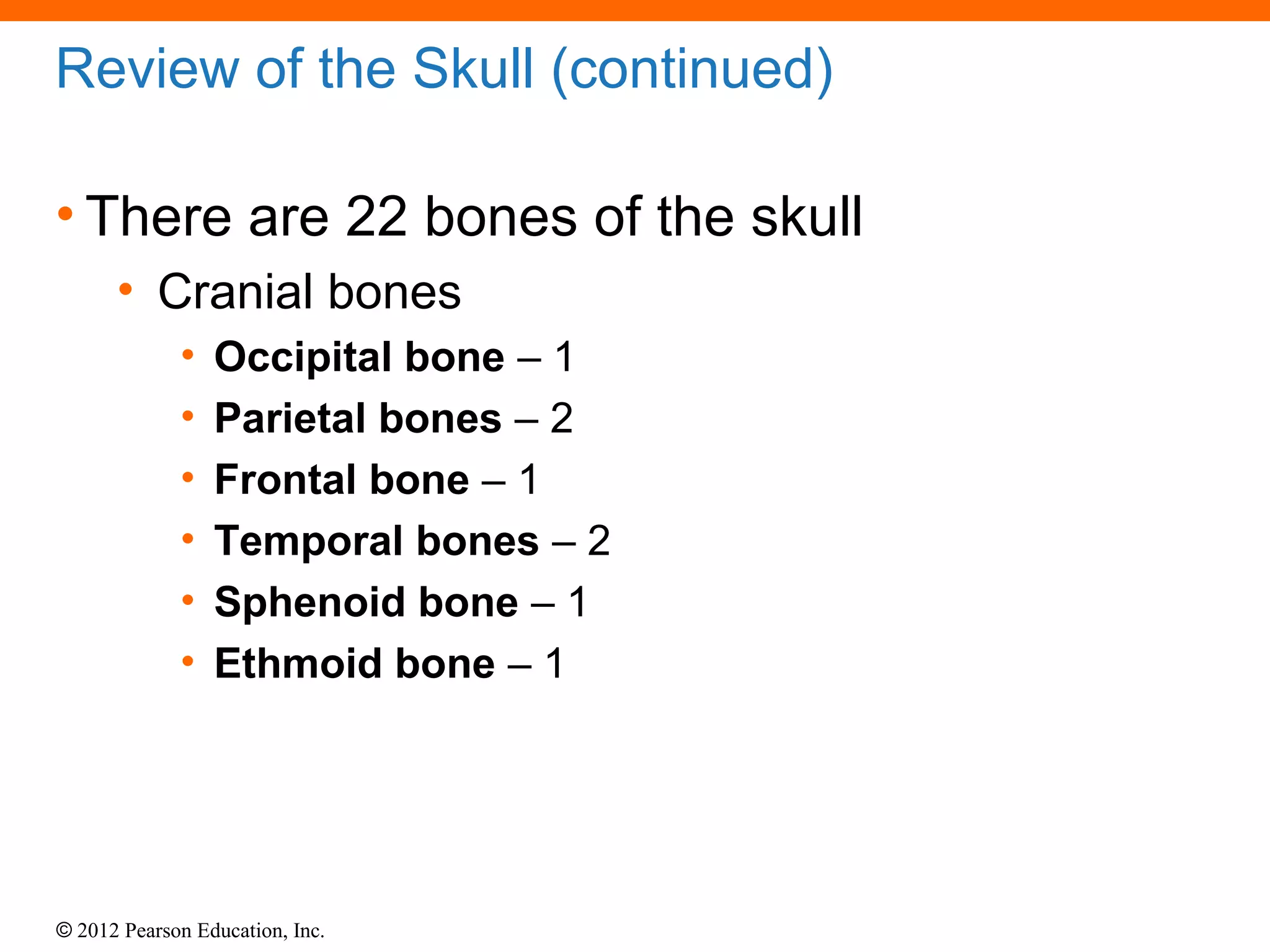 Skeletal S_Axial Division.pdf