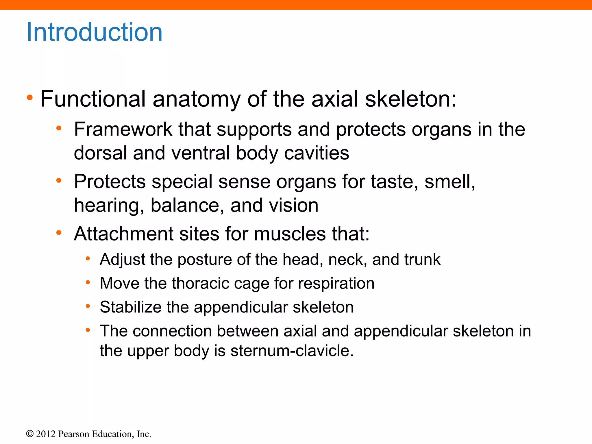 Skeletal S_Axial Division.pdf