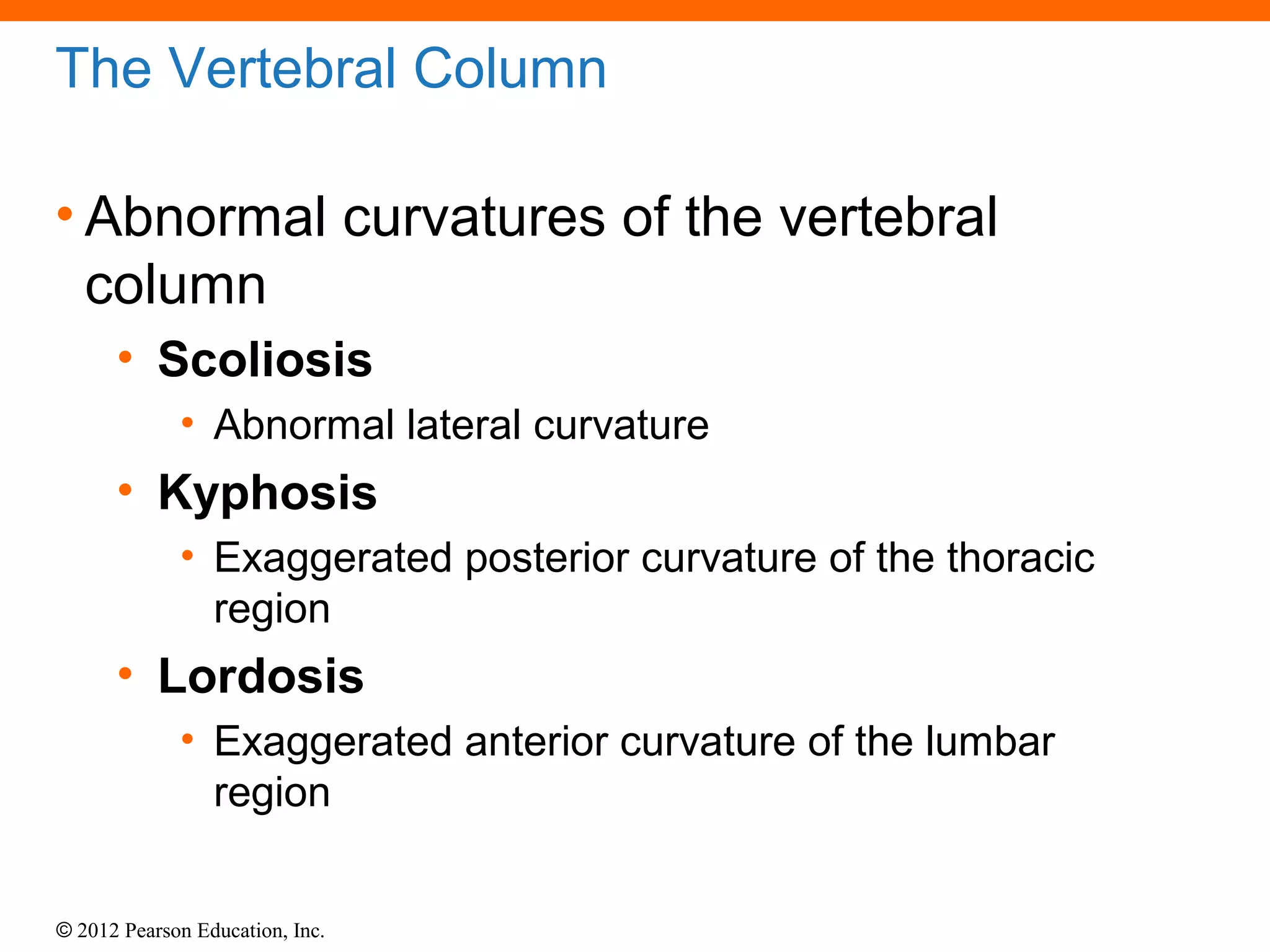Skeletal S_Axial Division.pdf