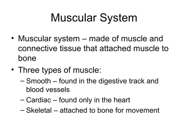 Skeletal, skin, muscle. nervous ppt | PPT