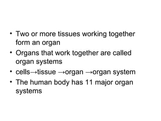 Skeletal, skin, muscle. nervous ppt | PPT | Bone and Joint Conditions ...