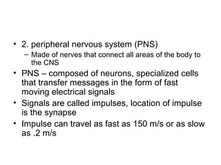 Skeletal, skin, muscle. nervous ppt | PPT