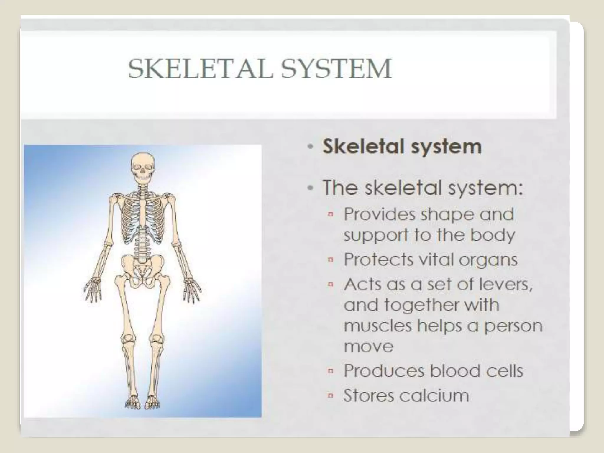 Skeletal ststem dcp 1 | PPT