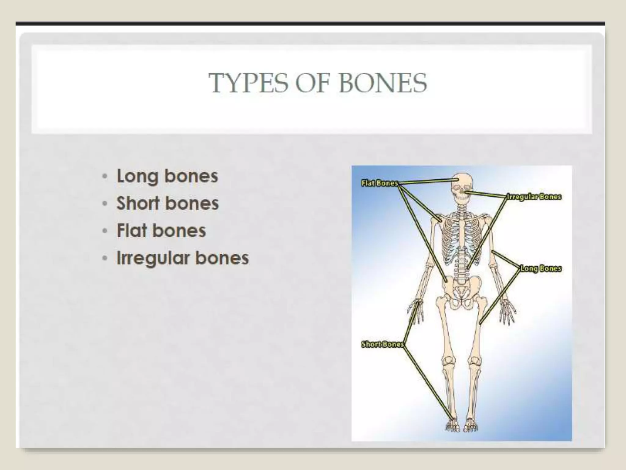 Skeletal ststem dcp 1 | PPT