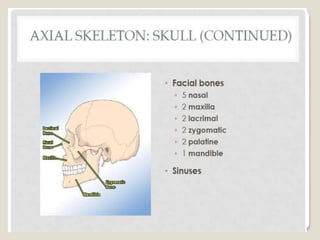 Skeletal ststem dcp 1 | PPT