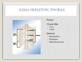 Skeletal ststem dcp 1 | PPT