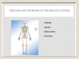 Skeletal ststem dcp 1 | PPTX