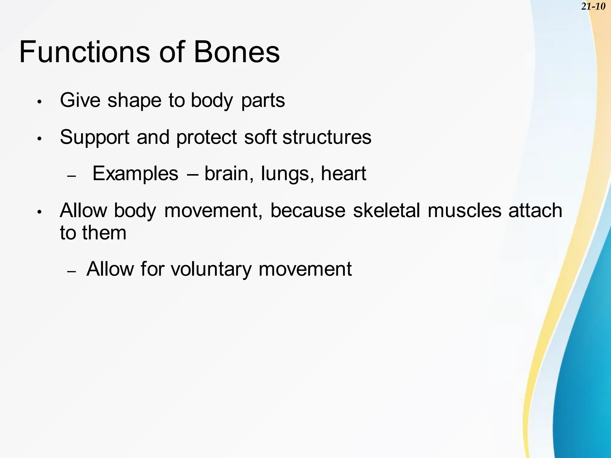 Skeletal System - Human Anatomy (Bone structure) | PDF