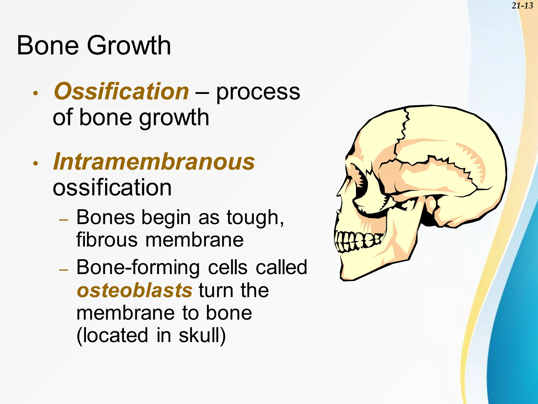 Skeletal System - Human Anatomy (Bone structure) | PDF
