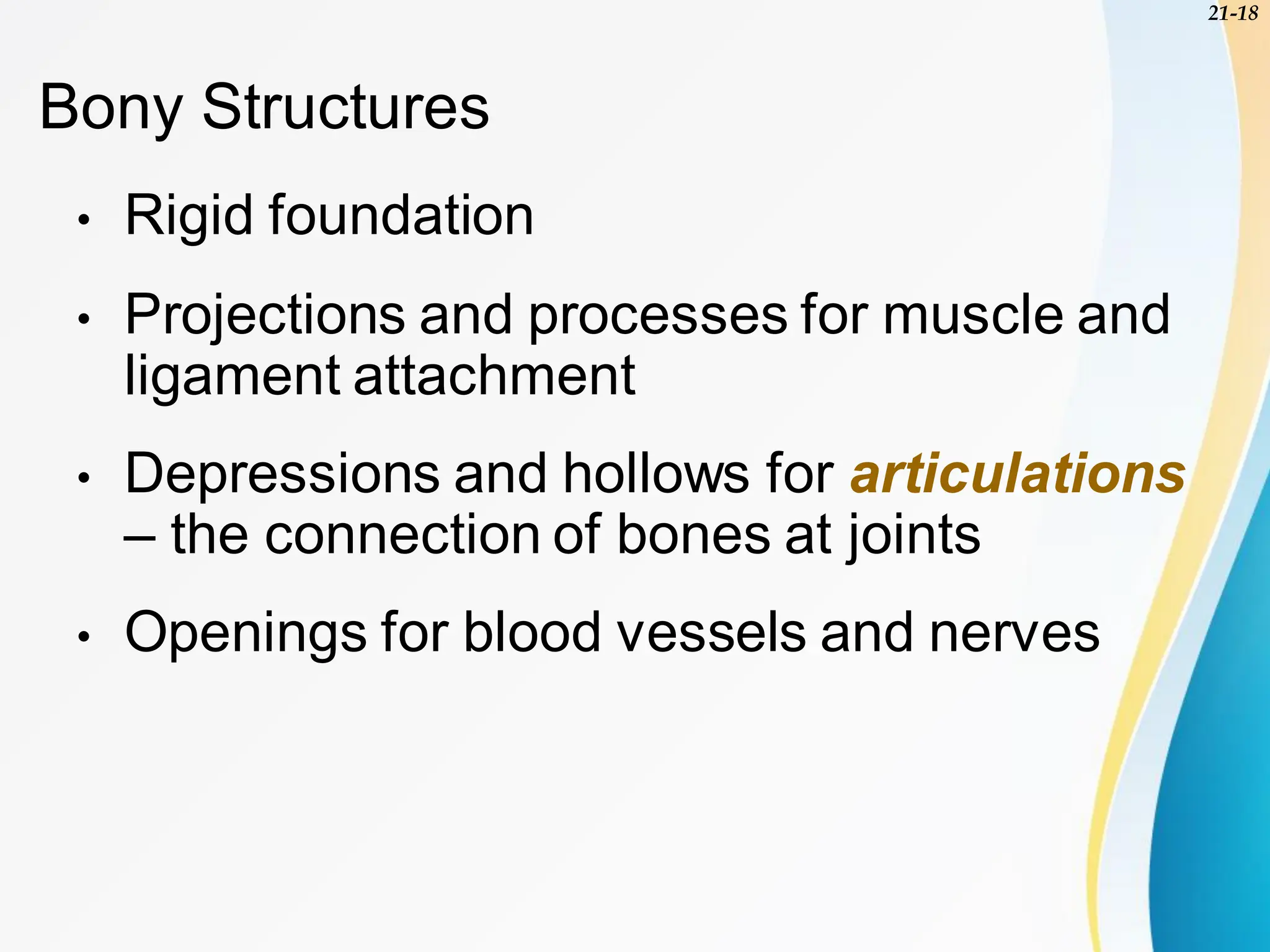 Skeletal System - Human Anatomy (Bone structure) | PDF