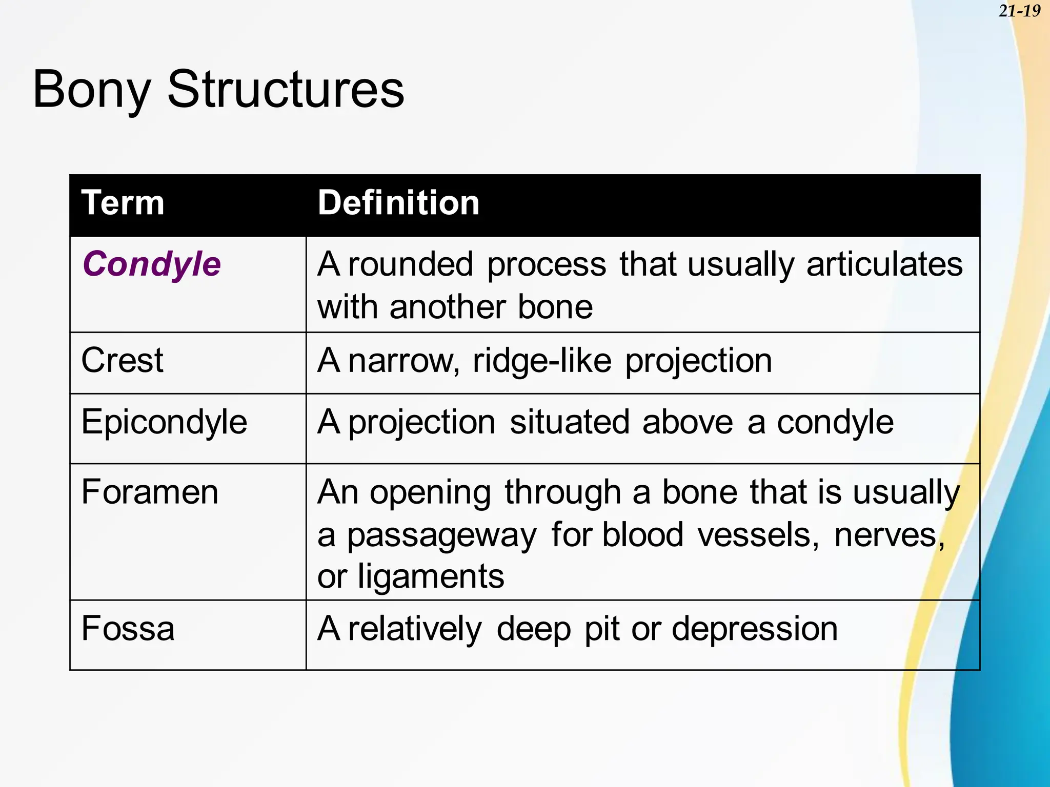 Skeletal System - Human Anatomy (Bone structure) | PDF