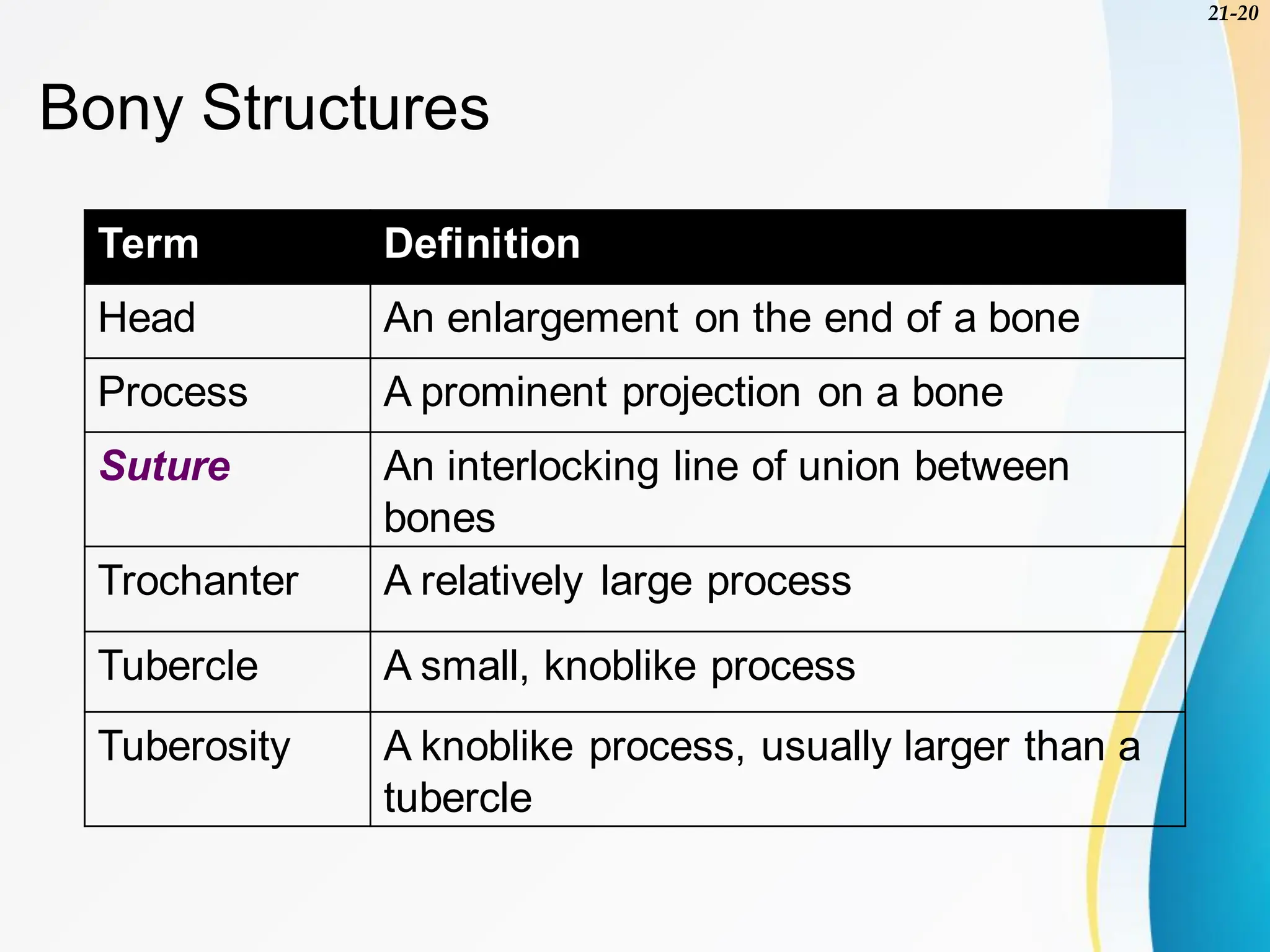 Skeletal System - Human Anatomy (Bone structure) | PDF