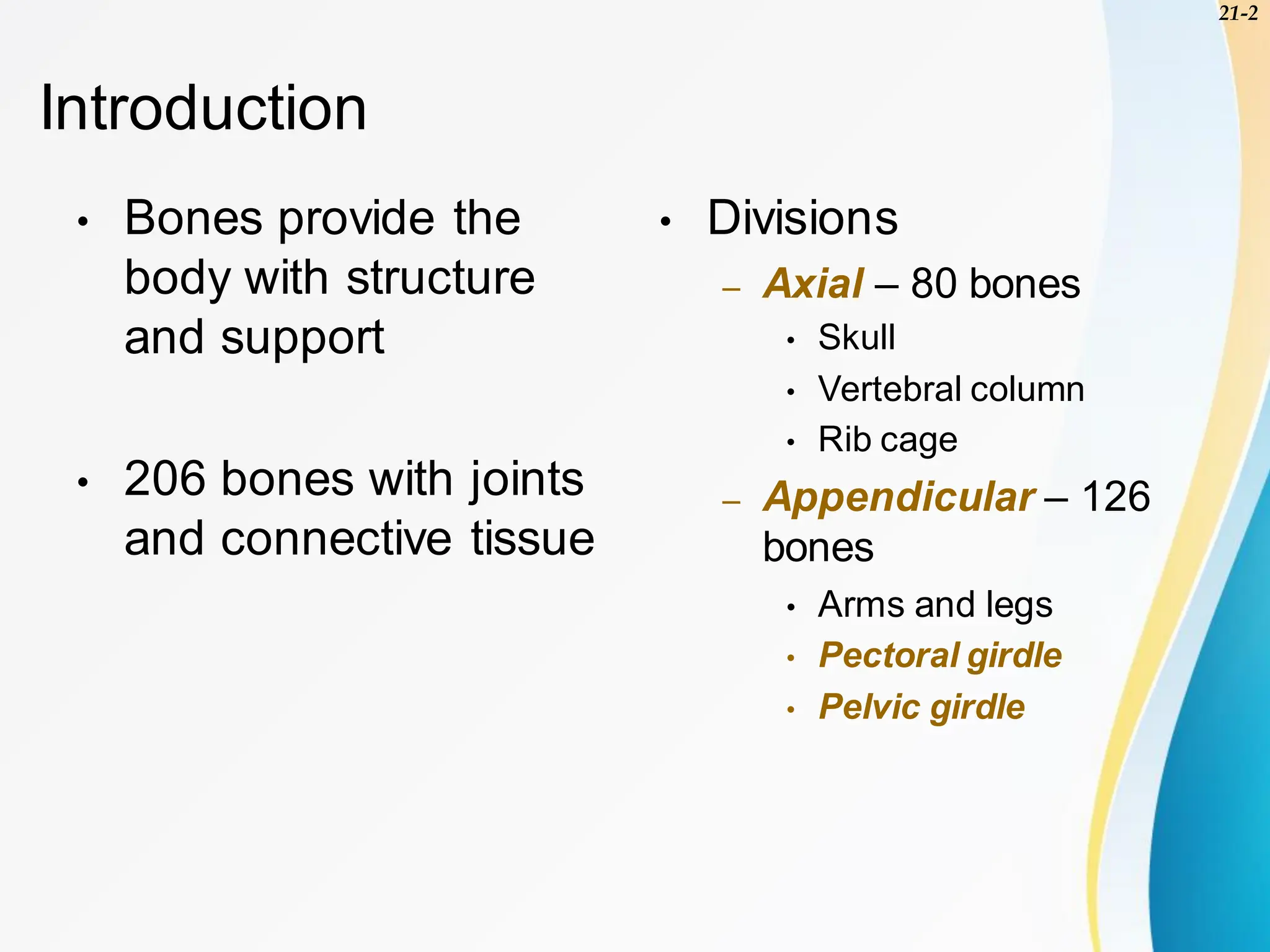 Skeletal System - Human Anatomy (Bone structure) | PDF