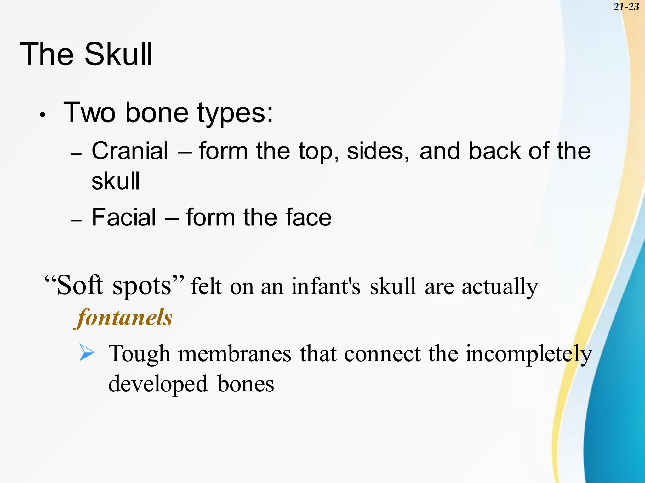 Skeletal System - Human Anatomy (Bone structure) | PDF