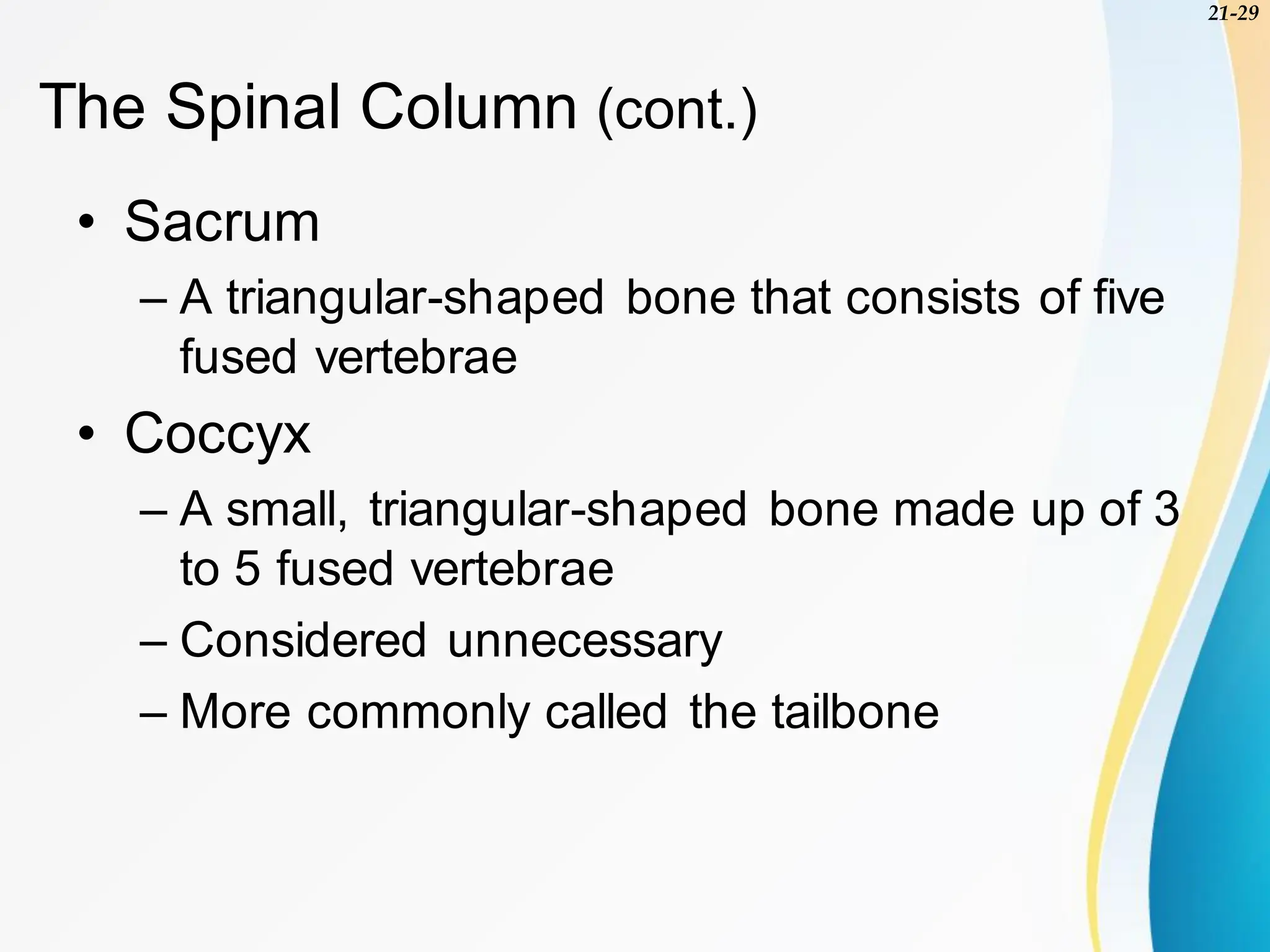 Skeletal System - Human Anatomy (Bone structure) | PDF