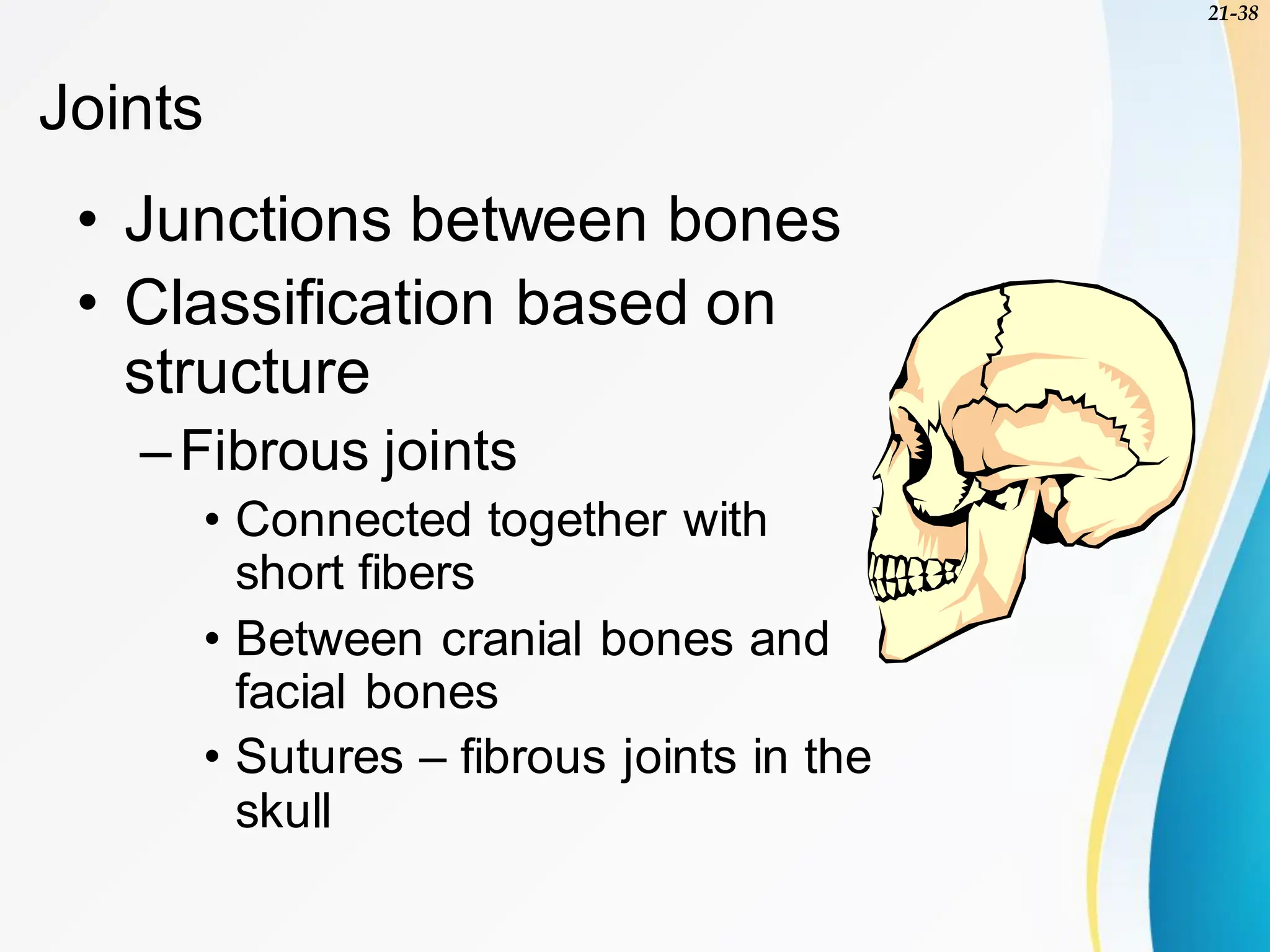 Skeletal System - Human Anatomy (Bone structure) | PDF