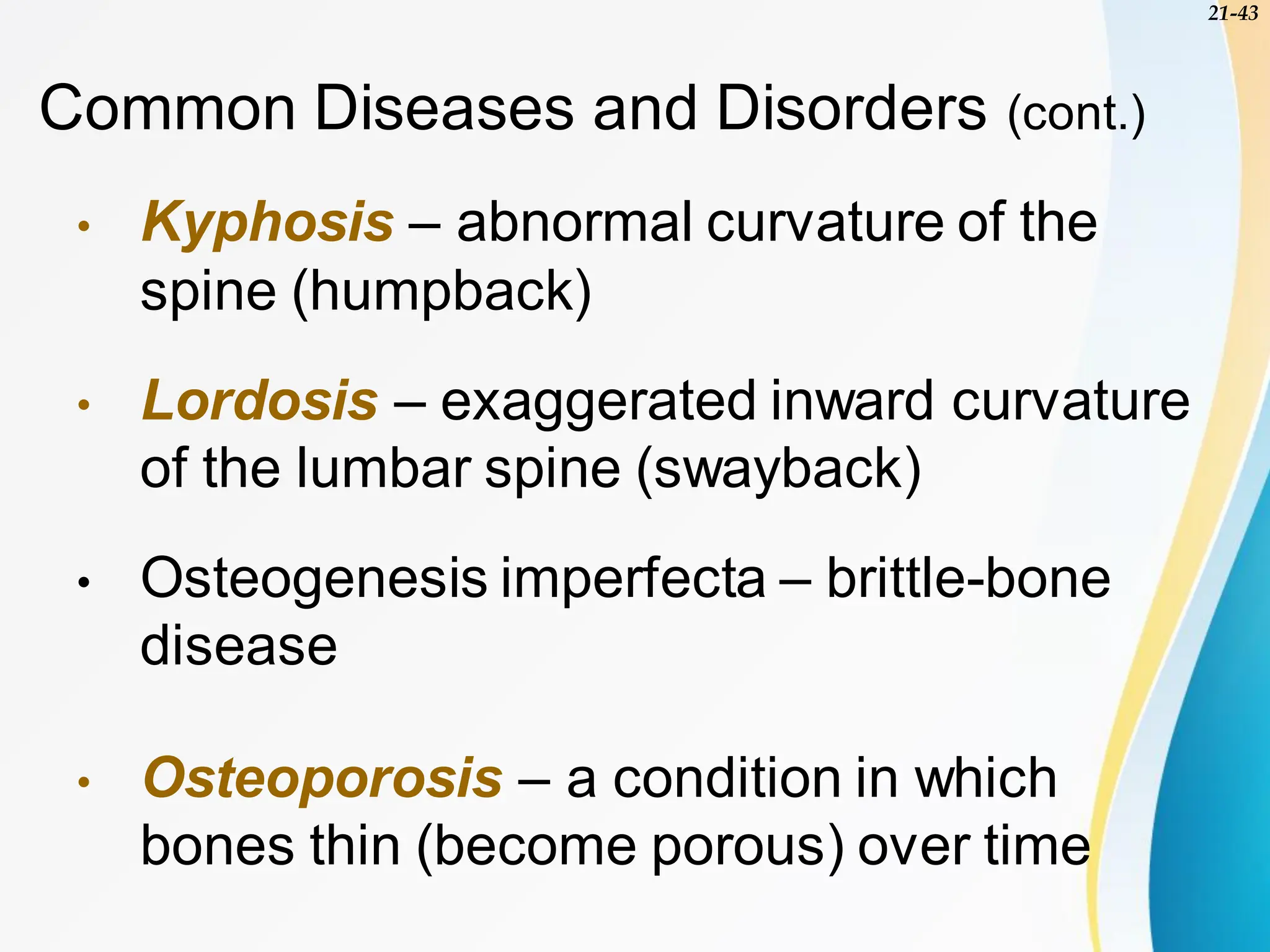 Skeletal System - Human Anatomy (Bone structure) | PDF