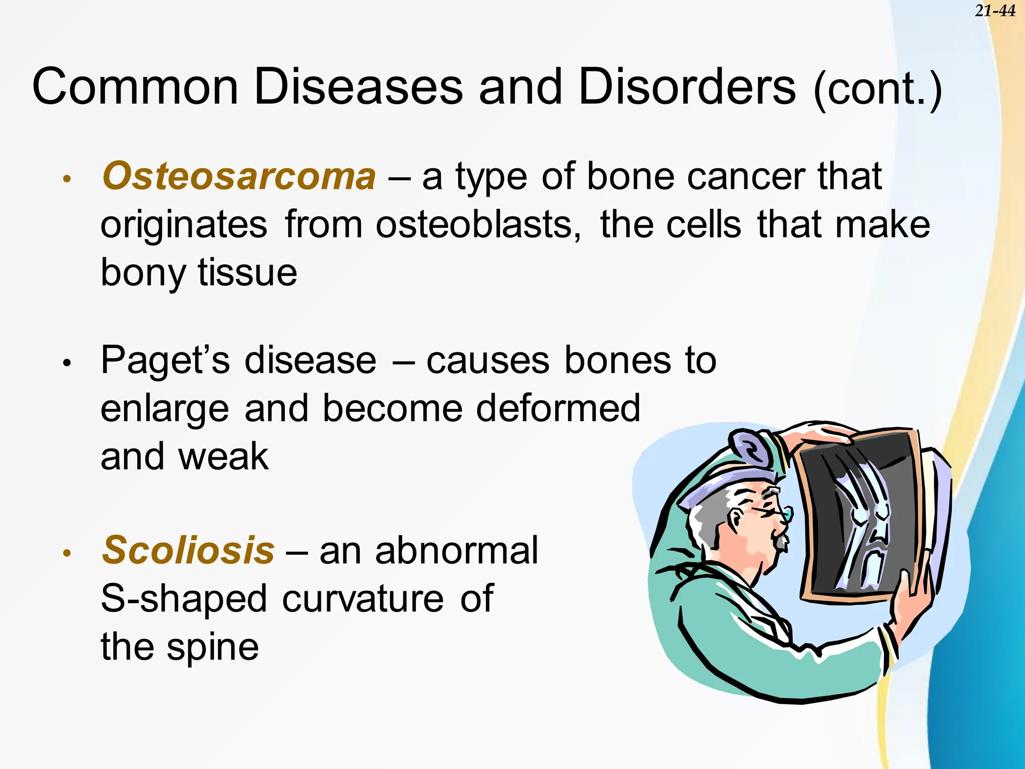 Skeletal System - Human Anatomy (Bone structure) | PDF