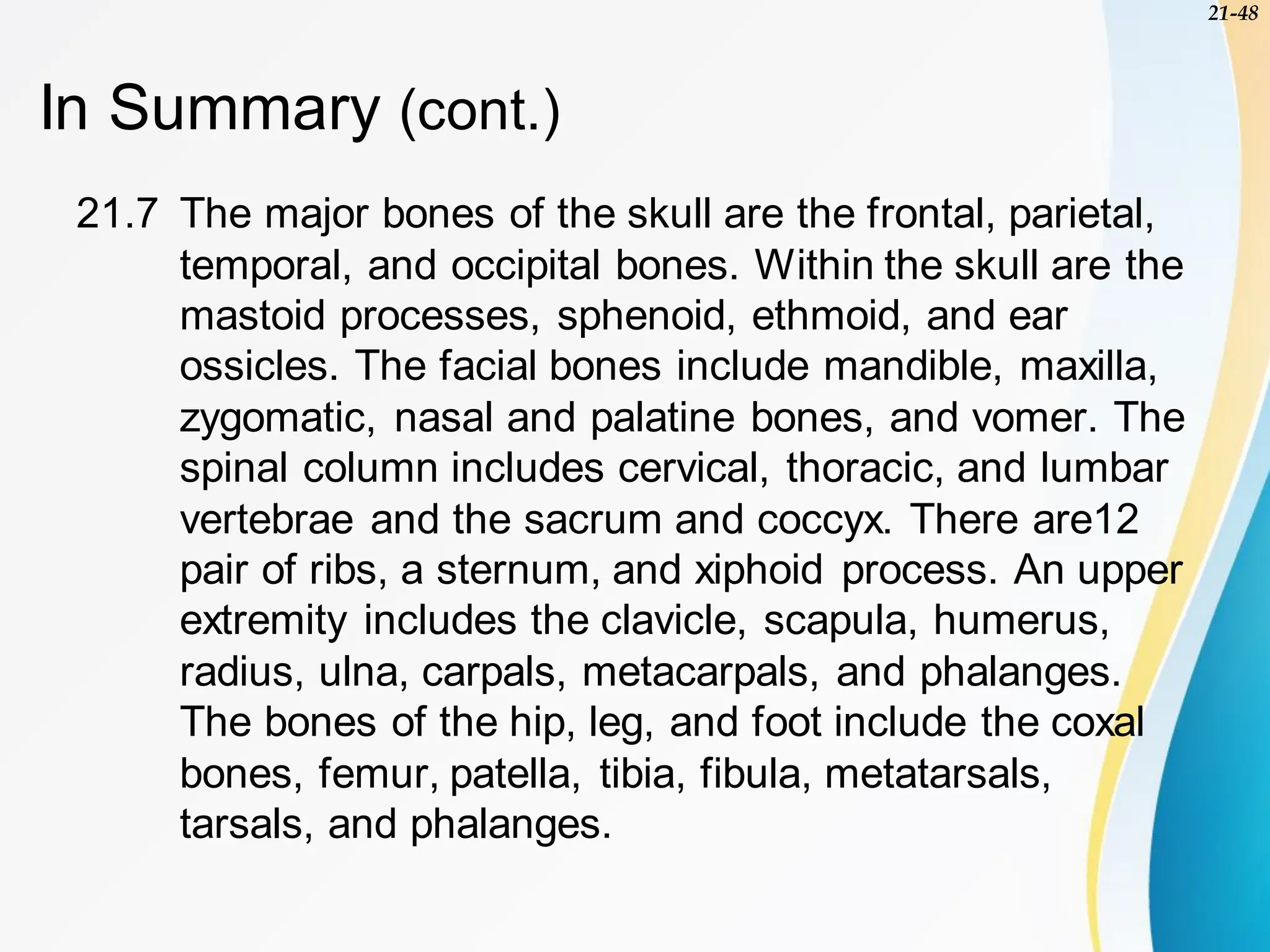 Skeletal System - Human Anatomy (Bone structure) | PDF