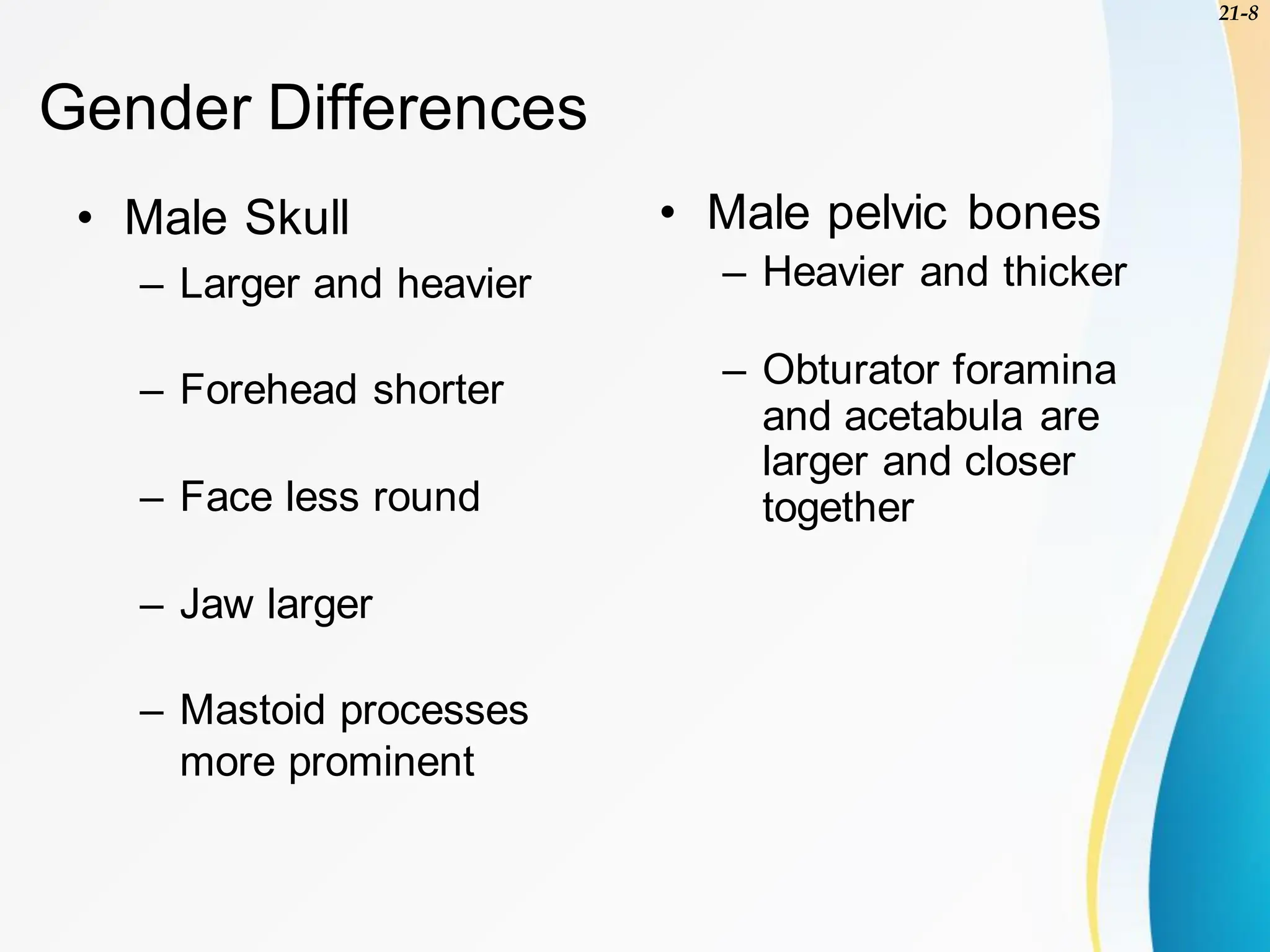 Skeletal System - Human Anatomy (Bone structure) | PDF