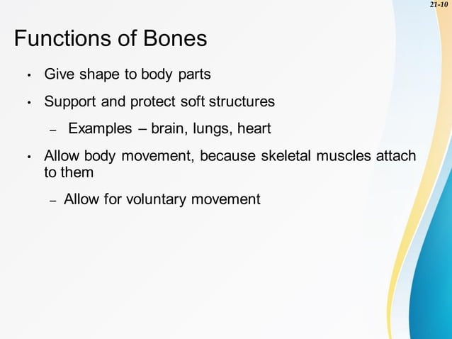 Skeletal System - Human Anatomy (Bone structure) | PDF